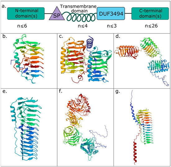 Genetic and Structural Diversity of Prokaryotic Ice-Binding Proteins ...