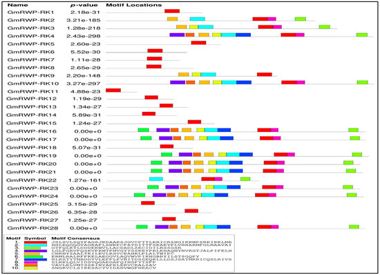 Identification and Molecular Characterization of RWP-RK Transcription ...