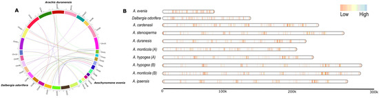 Dynamic Evolution of NLR Genes in Dalbergioids