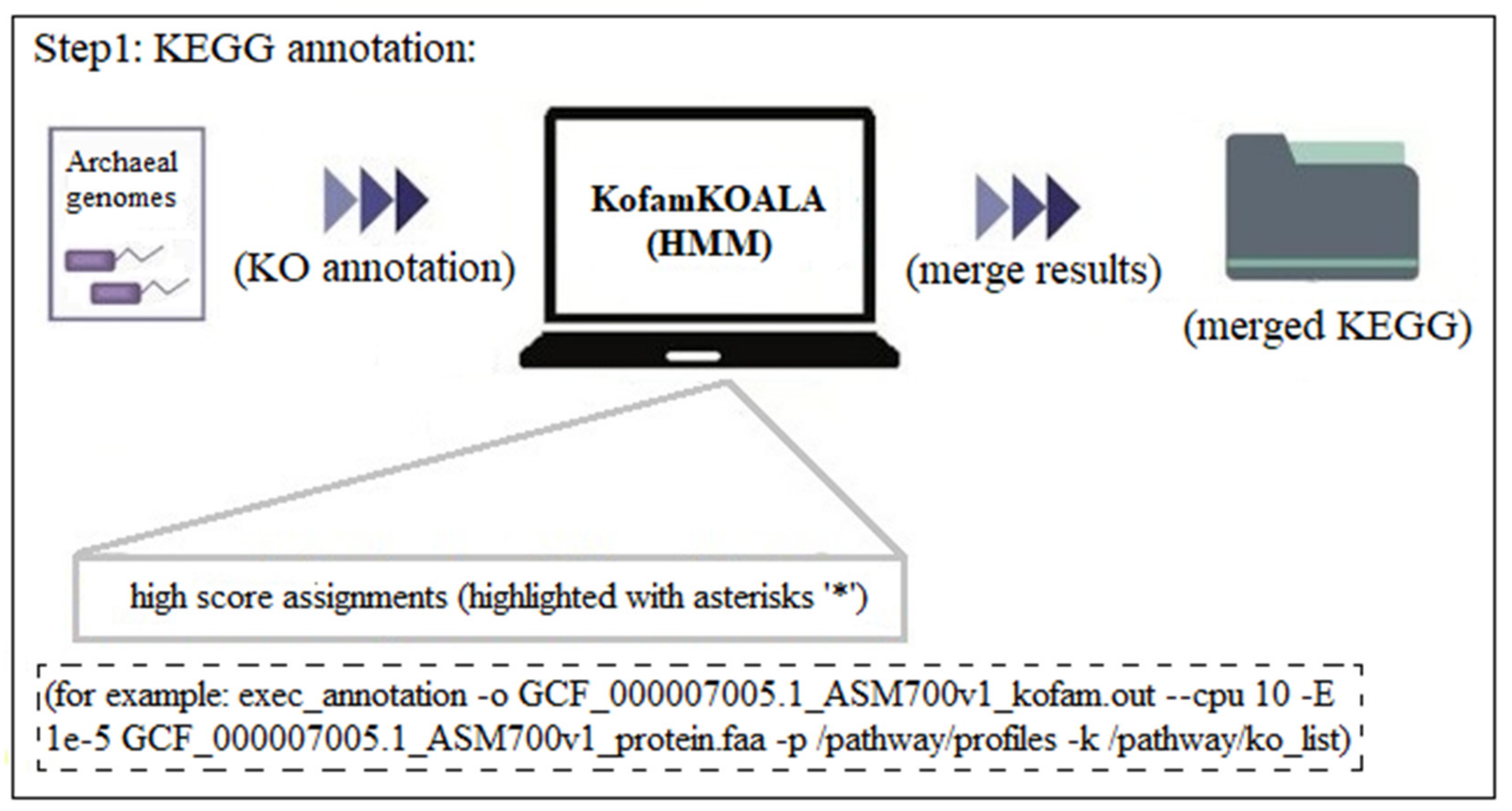 Genes | Free Full-Text | KEGG_Extractor: An Effective Extraction Tool for KEGG Orthologs