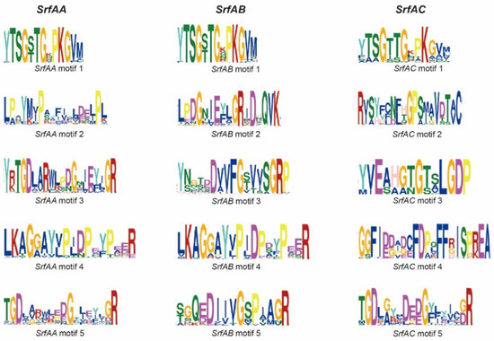 Genome-Wide Identification and Evolutionary Analyses of SrfA Operon ...