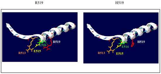 A Novel DLG1 Variant in a Family with Brugada Syndrome: Clinical ...