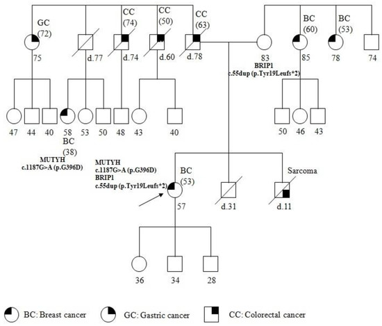 Hereditary Cancer Syndrome in a Family with Double Mutation in BRIP1 ...