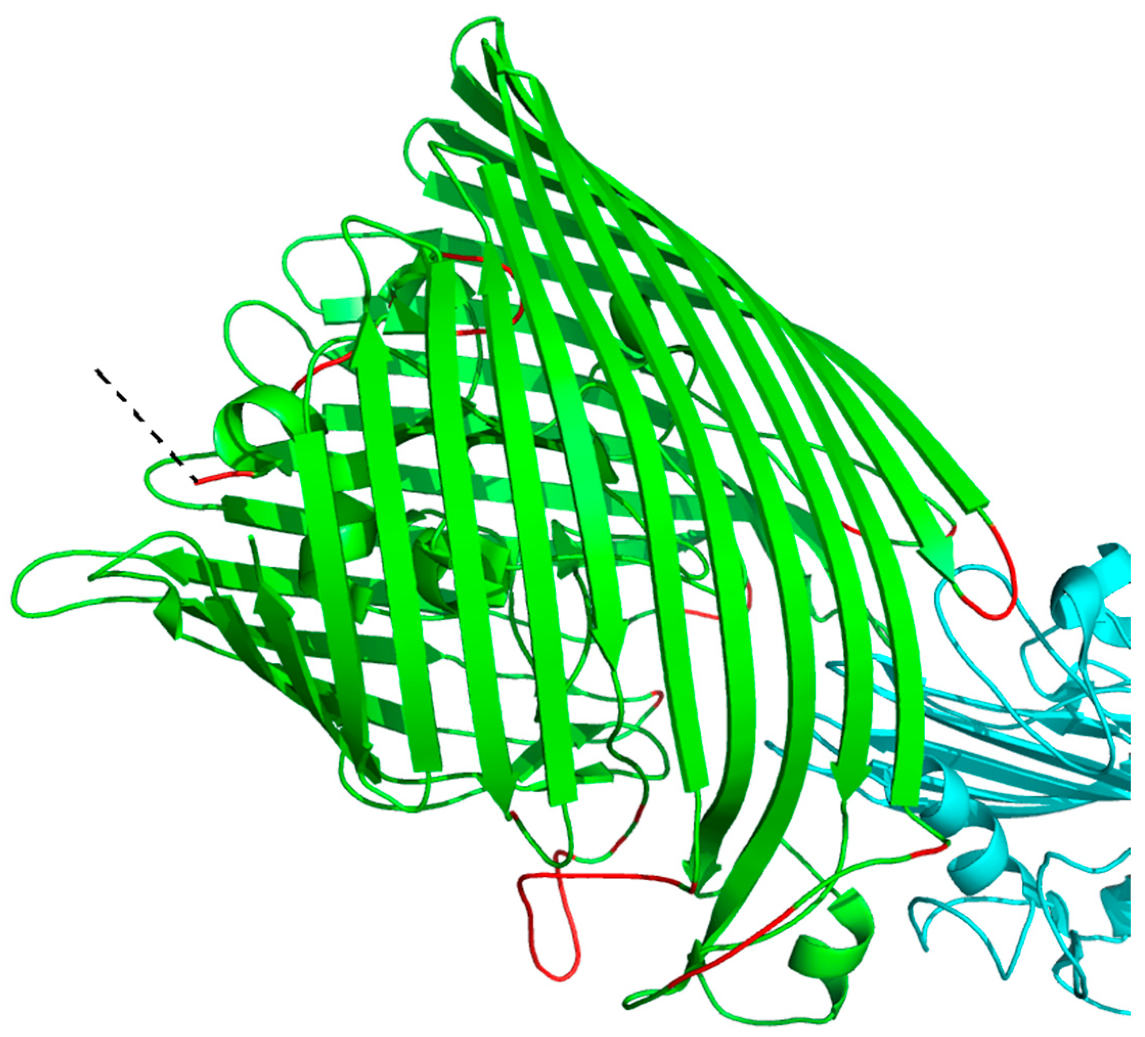 Computational Prediction of Protein Intrinsically Disordered Region Related Interactions and ...
