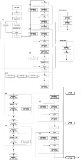 Study on Sperm-Cell Detection Using YOLOv5 Architecture with Labaled Dataset