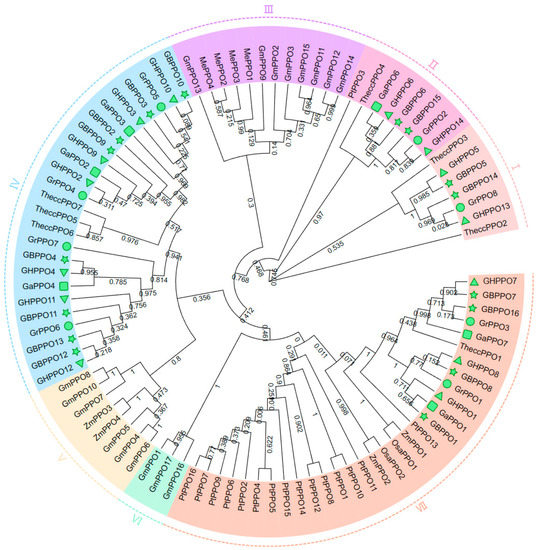 Genome-Wide Identification and Characterization of the PPO Gene Family ...