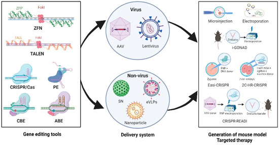 Progress in and Prospects of Genome Editing Tools for Human Disease ...