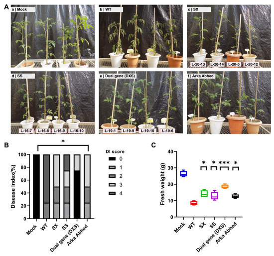 CRISPR/Cas9-Mediated Mutation in XSP10 and SlSAMT Genes Impart Genetic ...