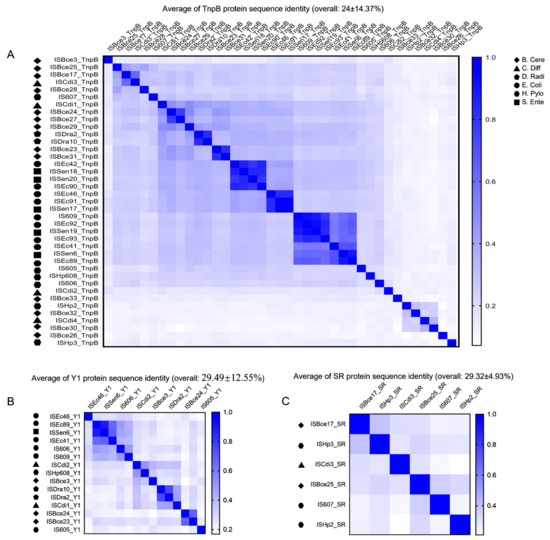 Phylogenetic Relationships among TnpB-Containing Mobile Elements in Six ...