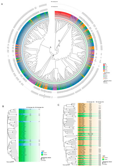 Phylogenetic Relationships among TnpB-Containing Mobile Elements in Six ...