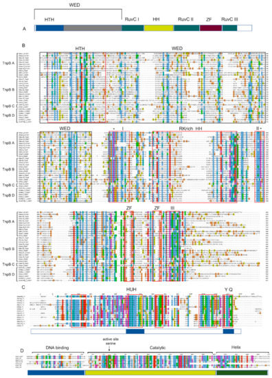 Phylogenetic Relationships among TnpB-Containing Mobile Elements in Six ...