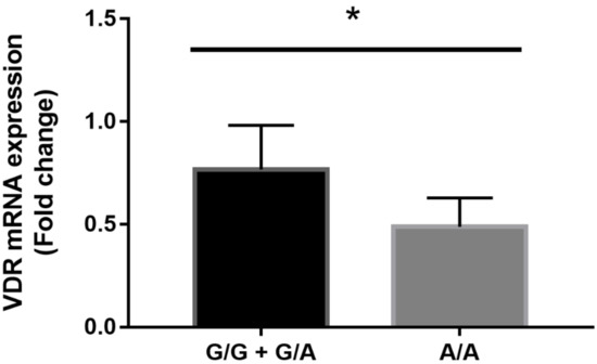 Role of the Vitamin D Receptor (VDR) in the Pathogenesis of ...