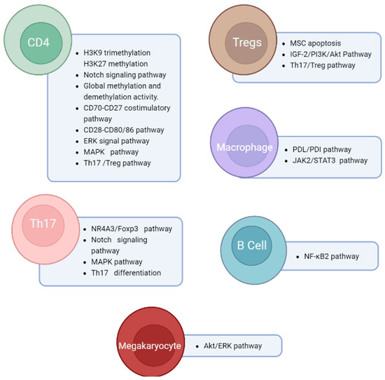 Scoping Review on Epigenetic Mechanisms in Primary Immune Thrombocytopenia