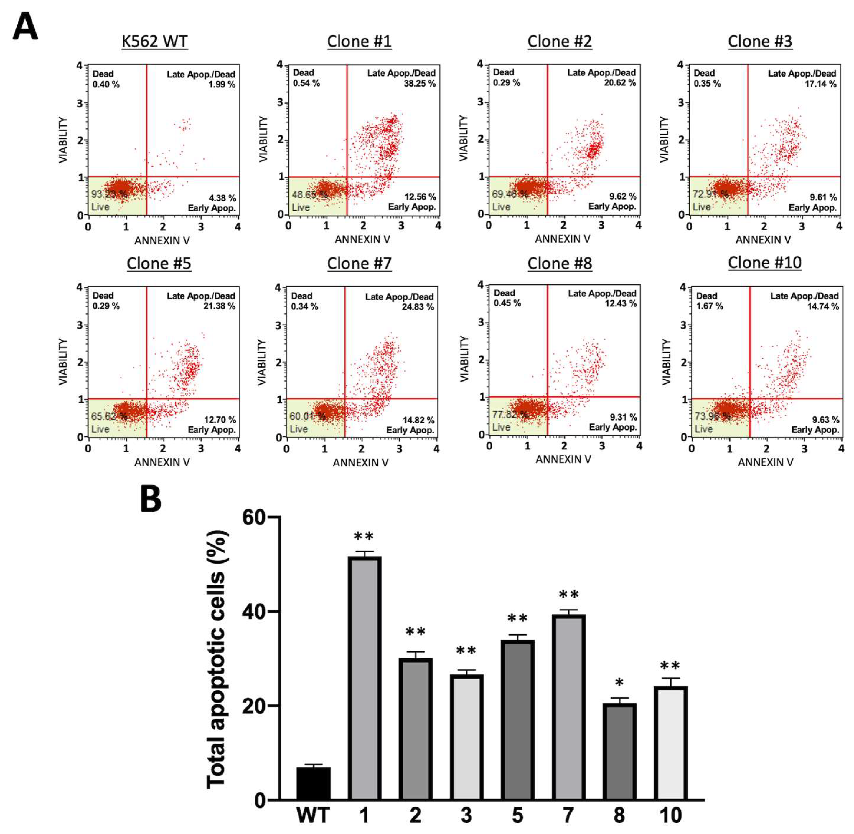 Production and Characterization of K562 Cellular Clones Hyper ...