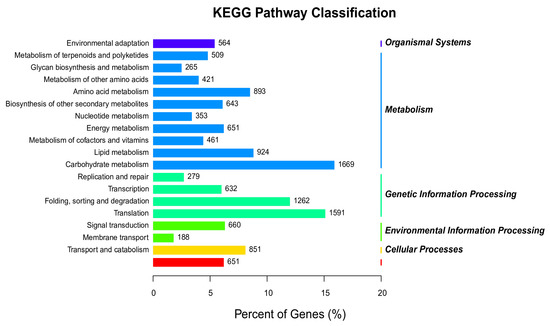 Identification of Small RNAs Associated with Salt Stress in ...