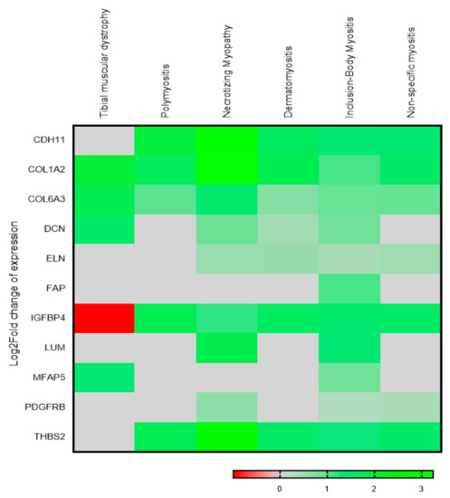 Genetic Analysis of HIBM Myopathy-Specific GNE V727M Hotspot Mutation ...