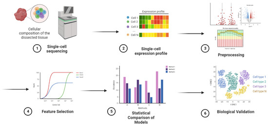 Cell Type Annotation Model Selection: General-Purpose vs. Pattern-Aware Feature Gene Selection ...