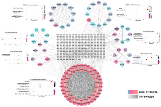 Genes | Free Full-Text | Integration Analysis of circRNA–miRNA–mRNA and ...