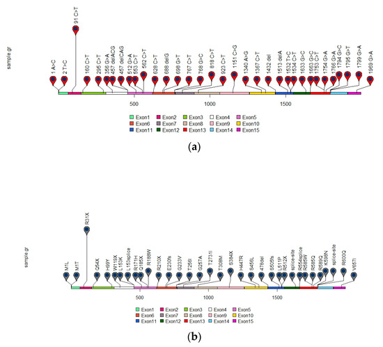 SDHA Germline Mutations in SDH-Deficient GISTs: A Current Update