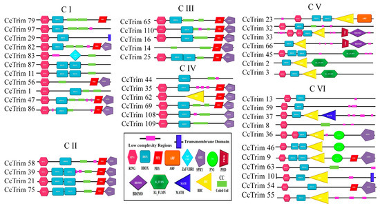 Genomic Analysis, Evolution and Characterization of E3 Ubiquitin ...