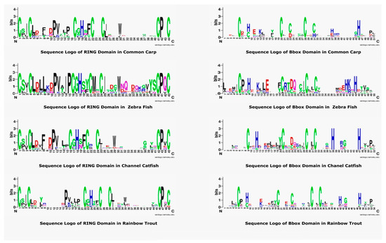 Genomic Analysis, Evolution and Characterization of E3 Ubiquitin ...