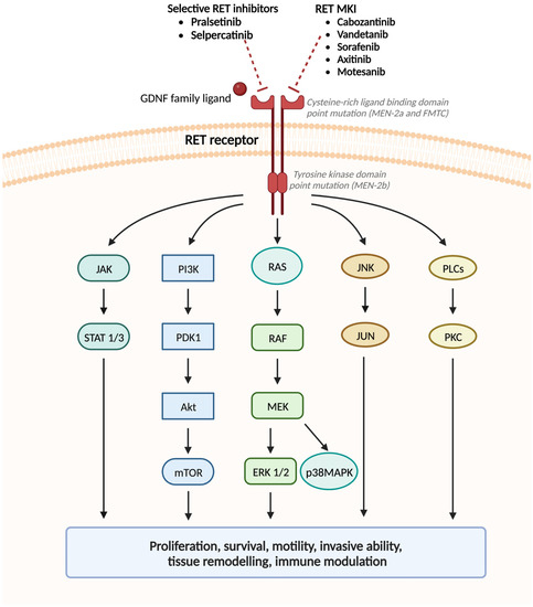 Personalized Systemic Therapies in Hereditary Cancer Syndromes