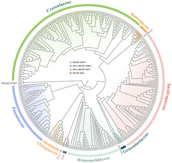 Codon Usage Analyses Reveal the Evolutionary Patterns among Plastid ...