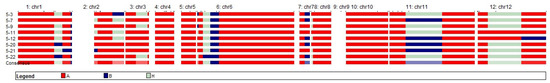 Marker Assisted Introgression of Resistance Genes and Phenotypic ...