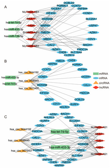 Genes | Free Full-Text | Identification of Key Differentially Expressed mRNAs, miRNAs, lncRNAs ...