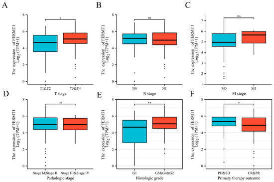 FERMT1 Is a Prognostic Marker Involved in Immune Infiltration of ...