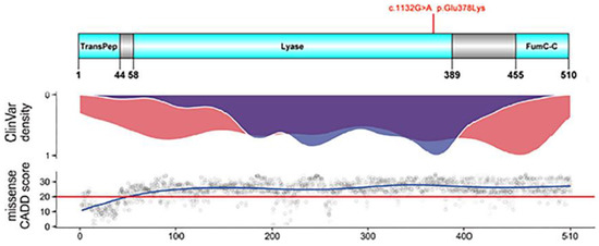 A Missense Mutation c.1132G > A in Fumarate Hydratase (FH) Leads to ...