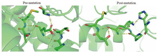 A Missense Mutation c.1132G > A in Fumarate Hydratase (FH) Leads to ...