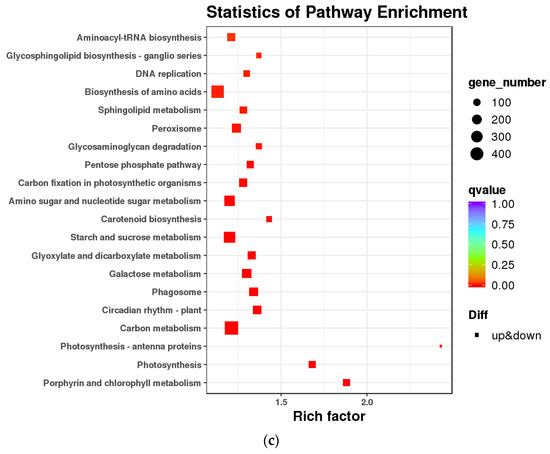 Transcriptome and Metabolome Profiling Provide Insights into Flavonoid ...