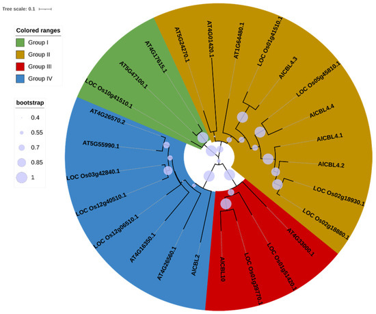 Genes | Free Full-Text | Comprehensive Analysis of Calcium Sensor ...