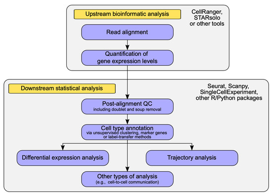 Current Status and Prospects of the Single-Cell Sequencing Technologies ...