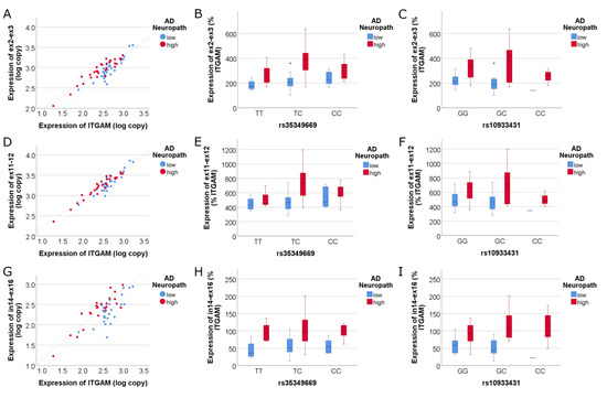 Expression of INPP5D Isoforms in Human Brain: Impact of Alzheimer’s ...