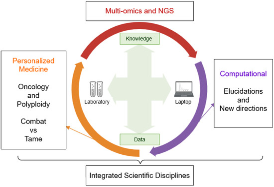 Computational Biology Helps Understand How Polyploid Giant Cancer Cells ...