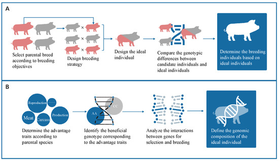 Molecular Design-Based Breeding: A Kinship Index-Based Selection Method ...