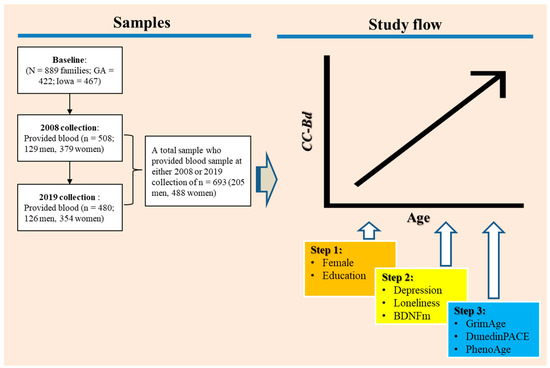 Genes | Free Full-Text | Changes in Loneliness, BDNF, and Biological ...