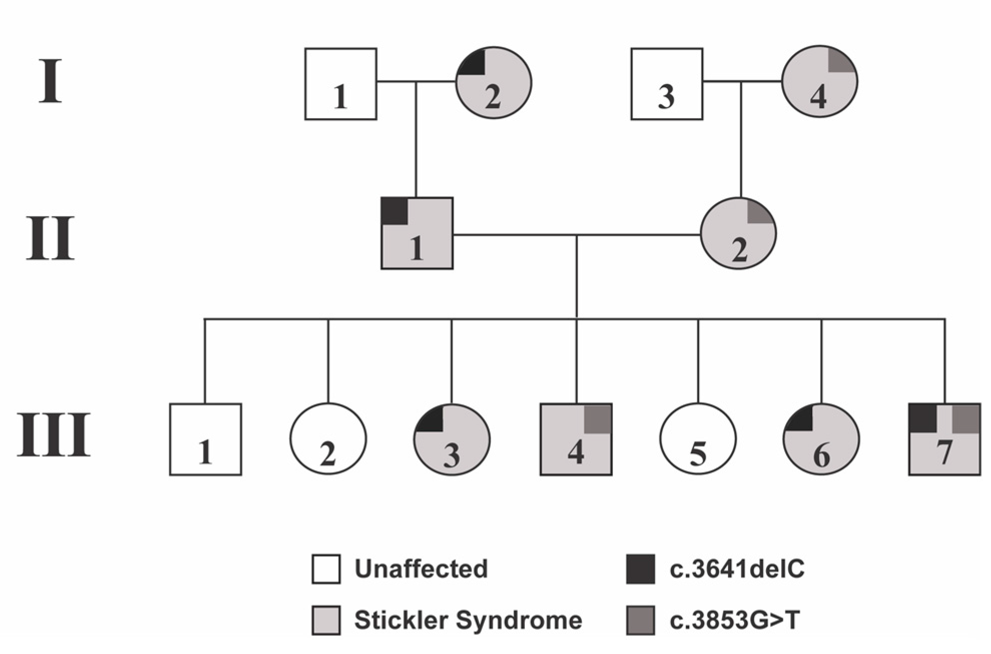 Stickler Syndrome Chromosome