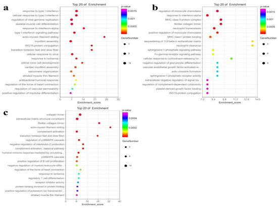 Transcriptome Profiling of Different Developmental Stages on ...