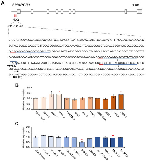 Targeted Modulation of Chicken Genes In Vitro Using CRISPRa and CRISPRi ...