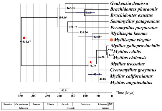 The Complete Mitochondrial Genome of Mytilisepta virgata (Mollusca ...