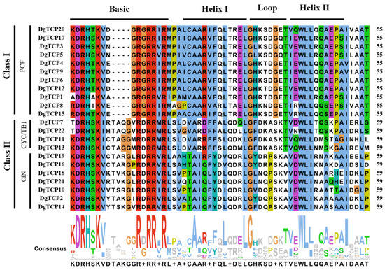 Genome-Wide Identification, Characterization, and Expression of TCP ...