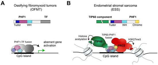 Polycomb-like Proteins in Gene Regulation and Cancer