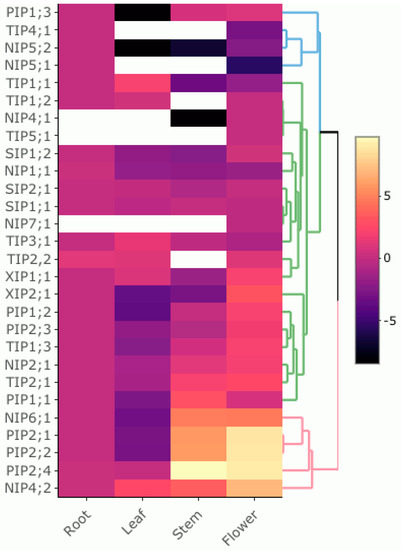 Genome-Wide Identification and Gene Expression Analysis of Sweet Cherry ...