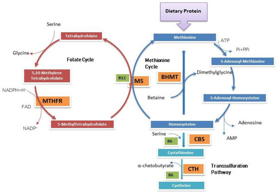 Contribution of Genetic Test to Early Diagnosis of ...