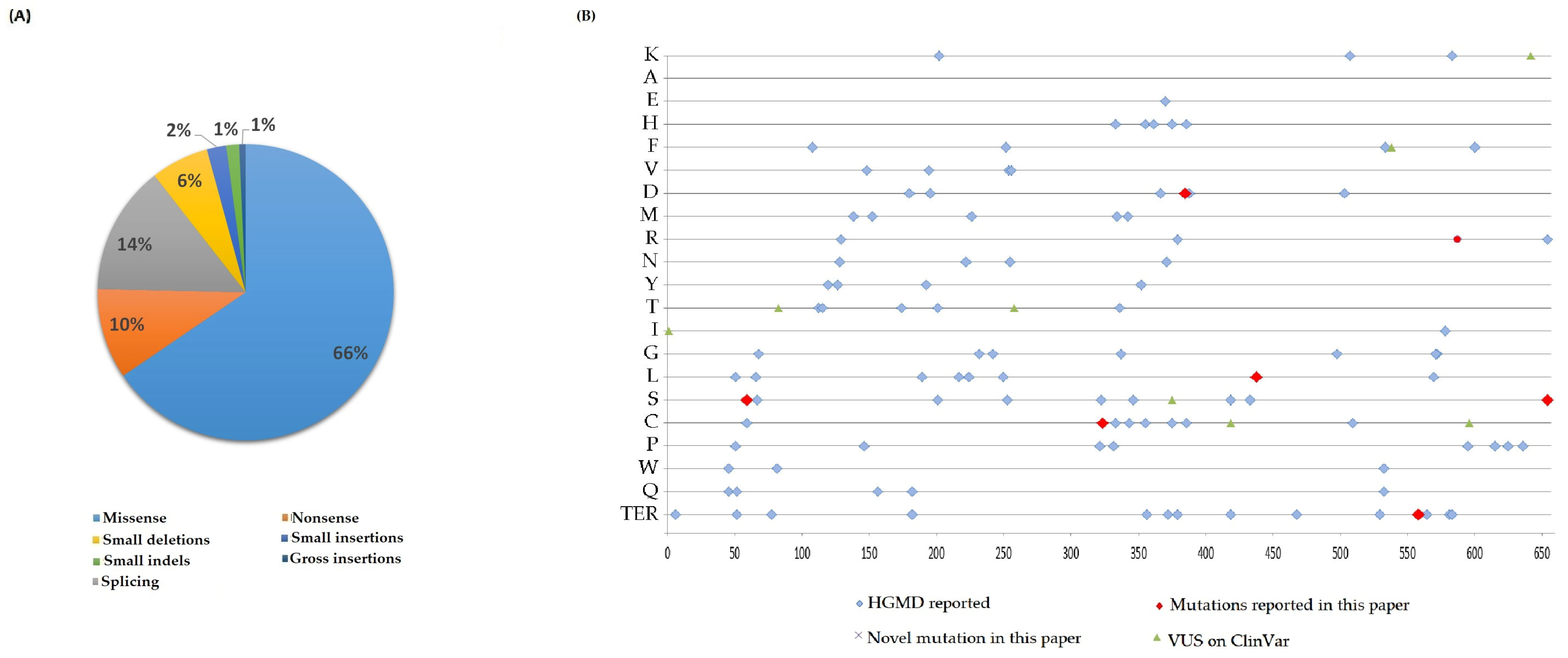 Contribution of Genetic Test to Early Diagnosis of ...