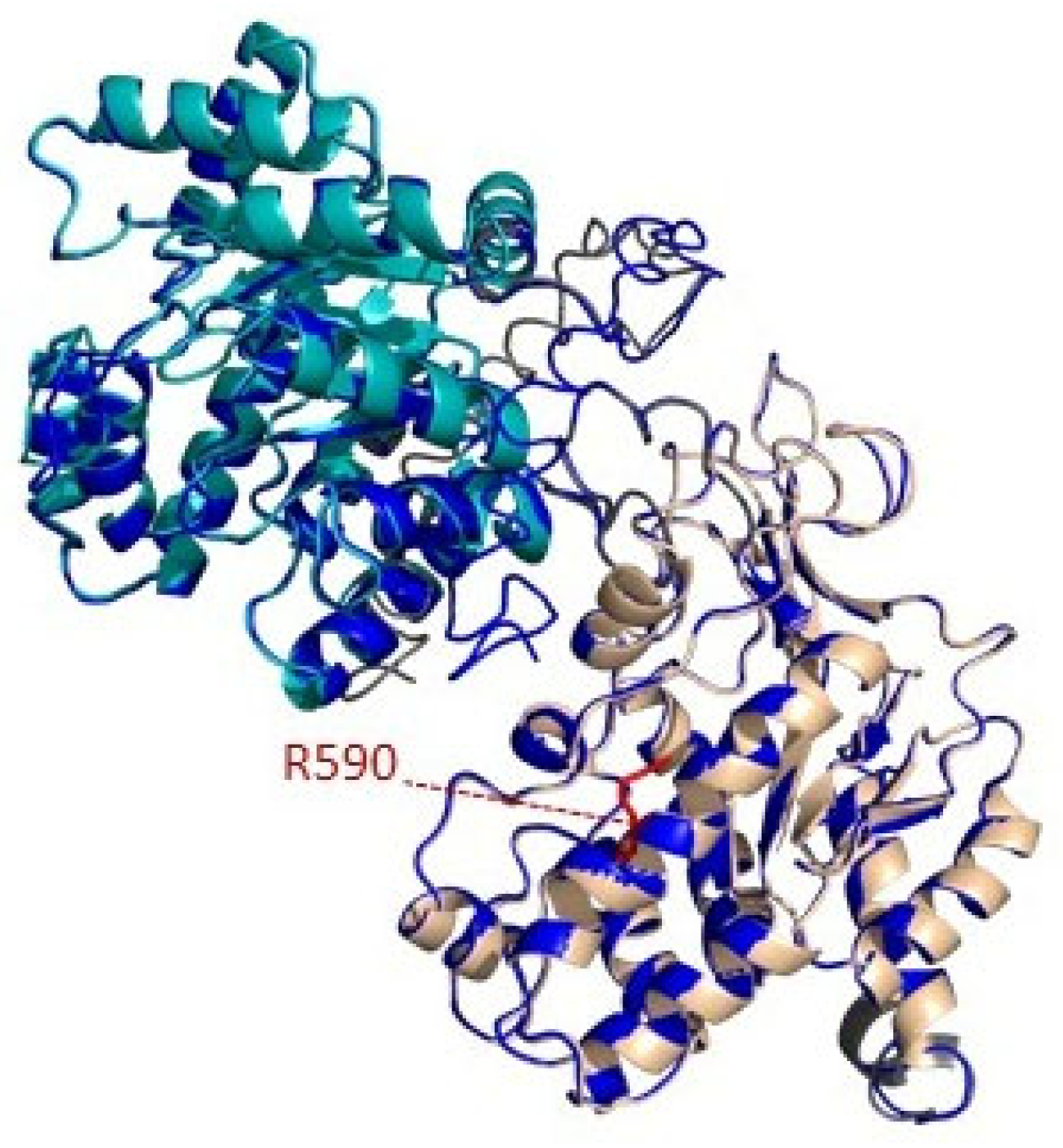 Contribution of Genetic Test to Early Diagnosis of ...