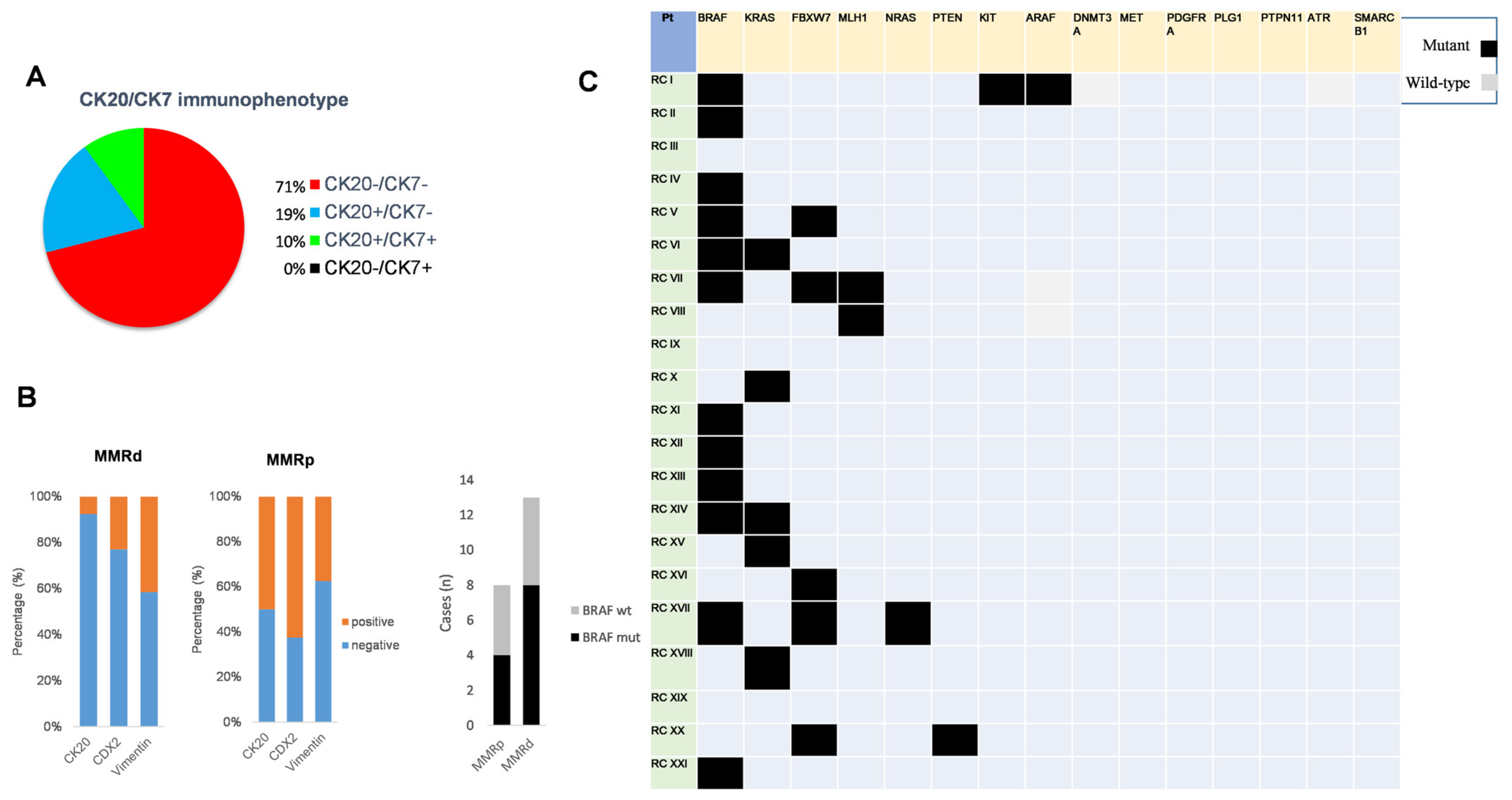 Genes | Free Full-Text | Loss of Primary Cilia Potentiates BRAF/MAPK ...